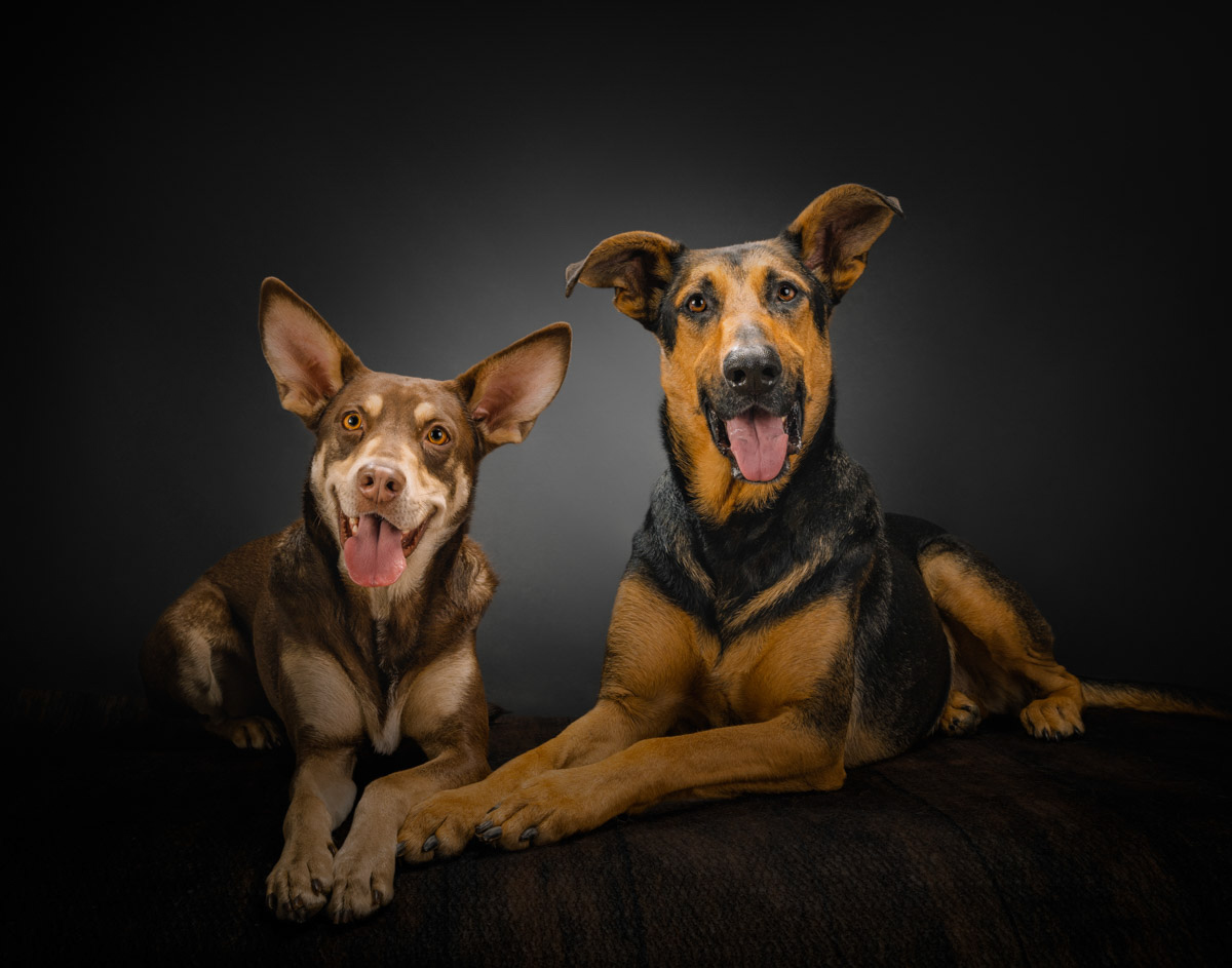 Two Years of Memories With Fetch Photo Truck: A Retrospective ...