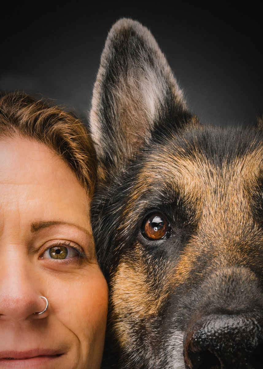 How a Mobile Studio Makes Legendary Dog Photos - Denver Dog ...