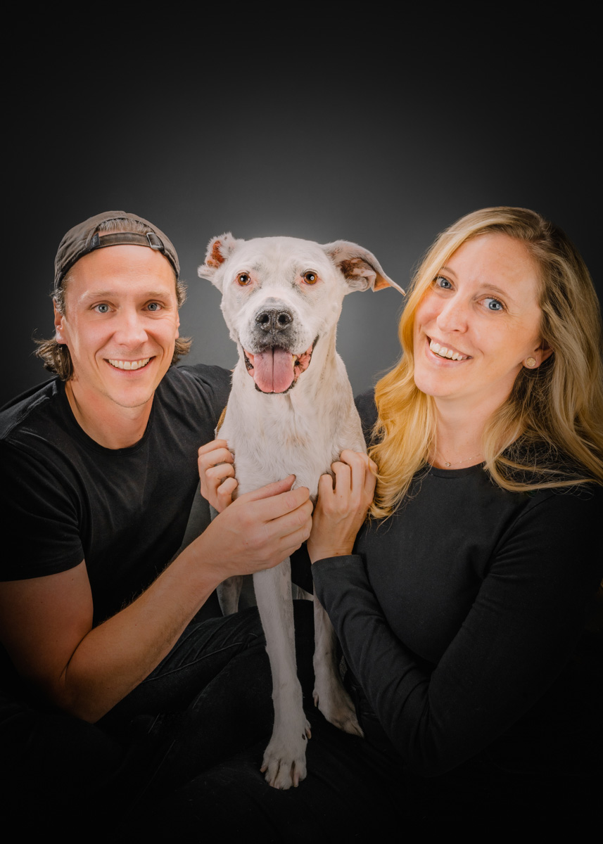 How a Mobile Studio Makes Legendary Dog Photos - Denver Dog ...