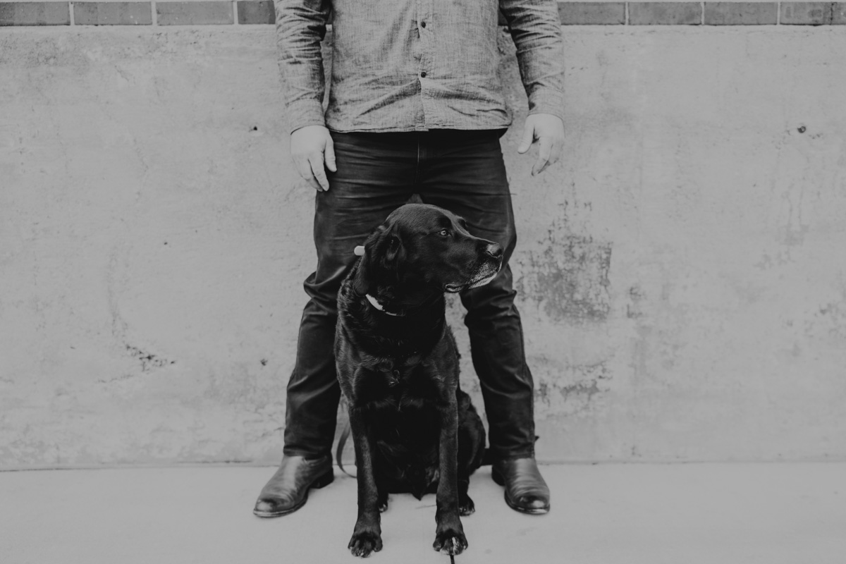 Two Years of Memories With Fetch Photo Truck: A Retrospective ...