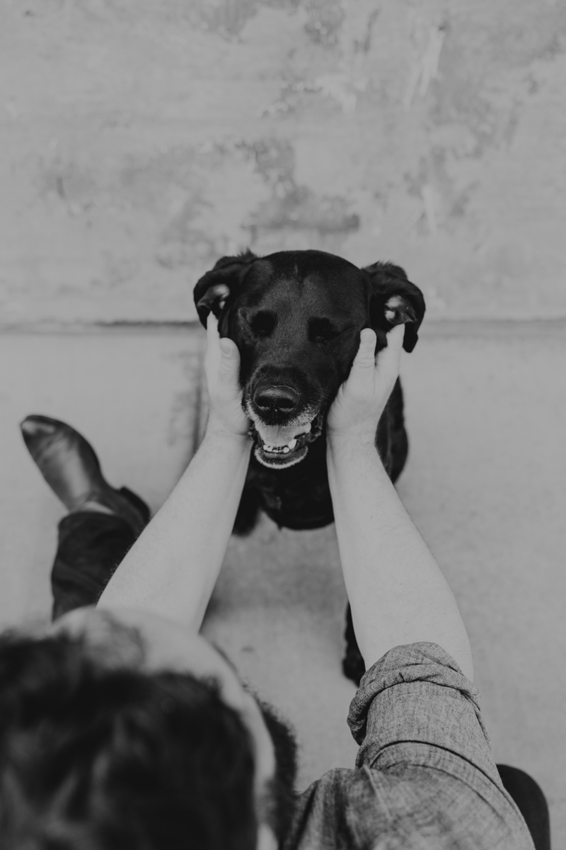 Two Years of Memories With Fetch Photo Truck: A Retrospective ...