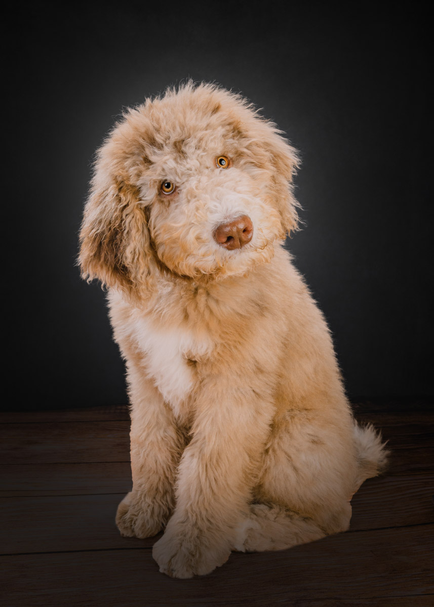 Fetch Photo Truck Featured On Canvas Rebel - fetchphototruck.com