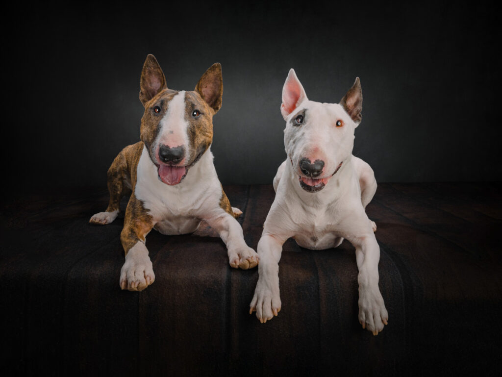 Fetch Photo Truck Featured On Canvas Rebel - fetchphototruck.com