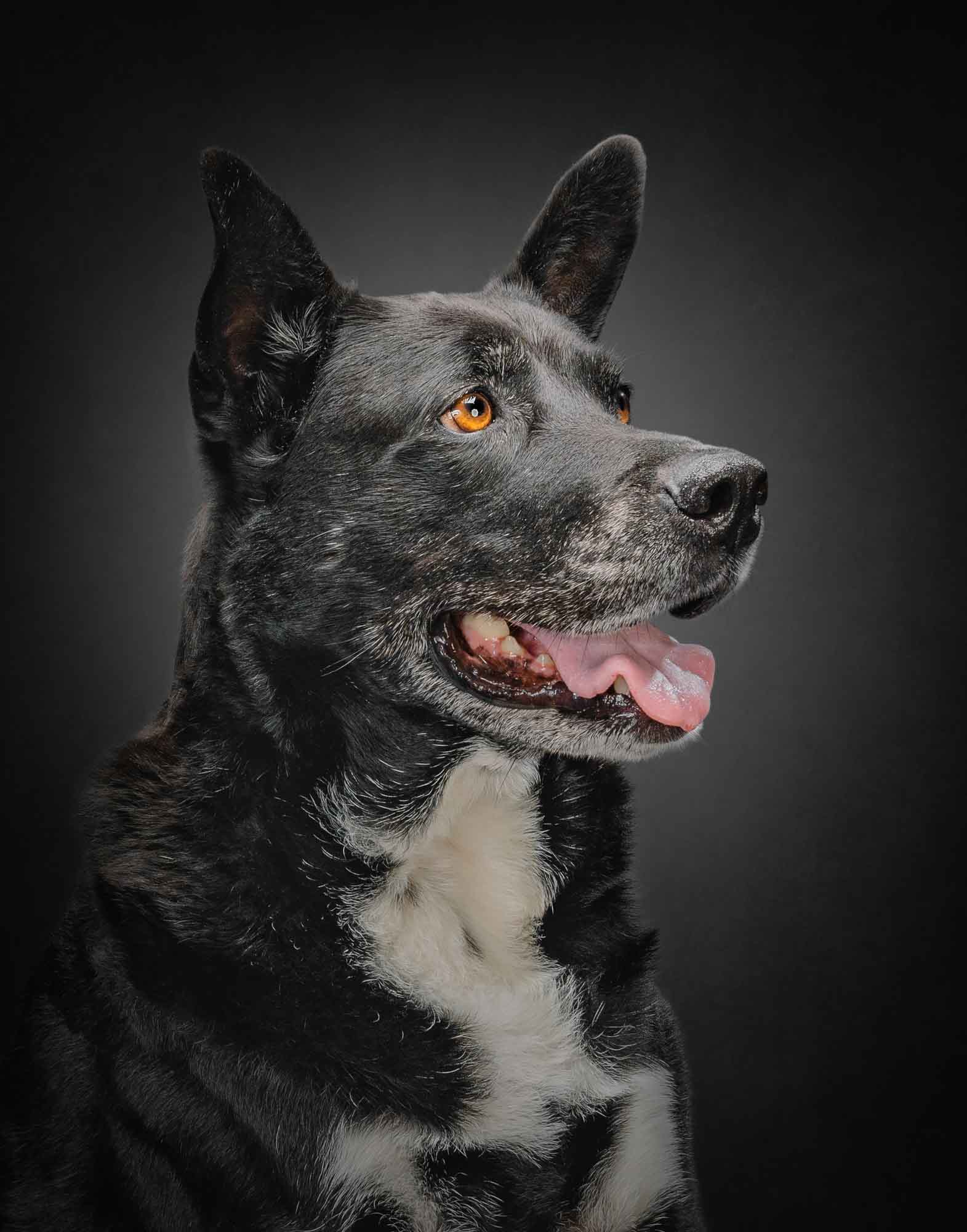 Monday Morning Radio Interview | Fetch Photo Truck - fetchphototruck.com