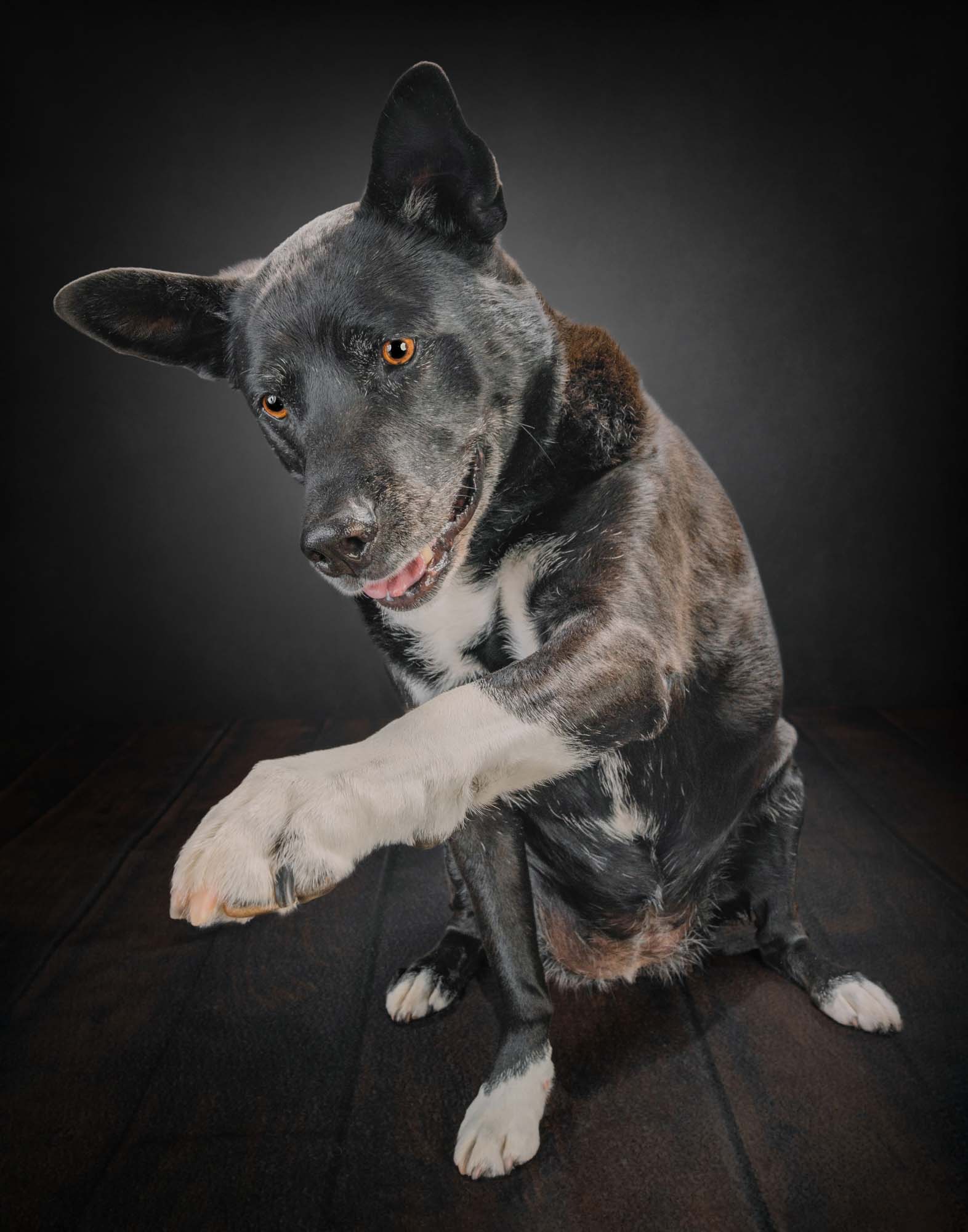 Monday Morning Radio Interview | Fetch Photo Truck - fetchphototruck.com