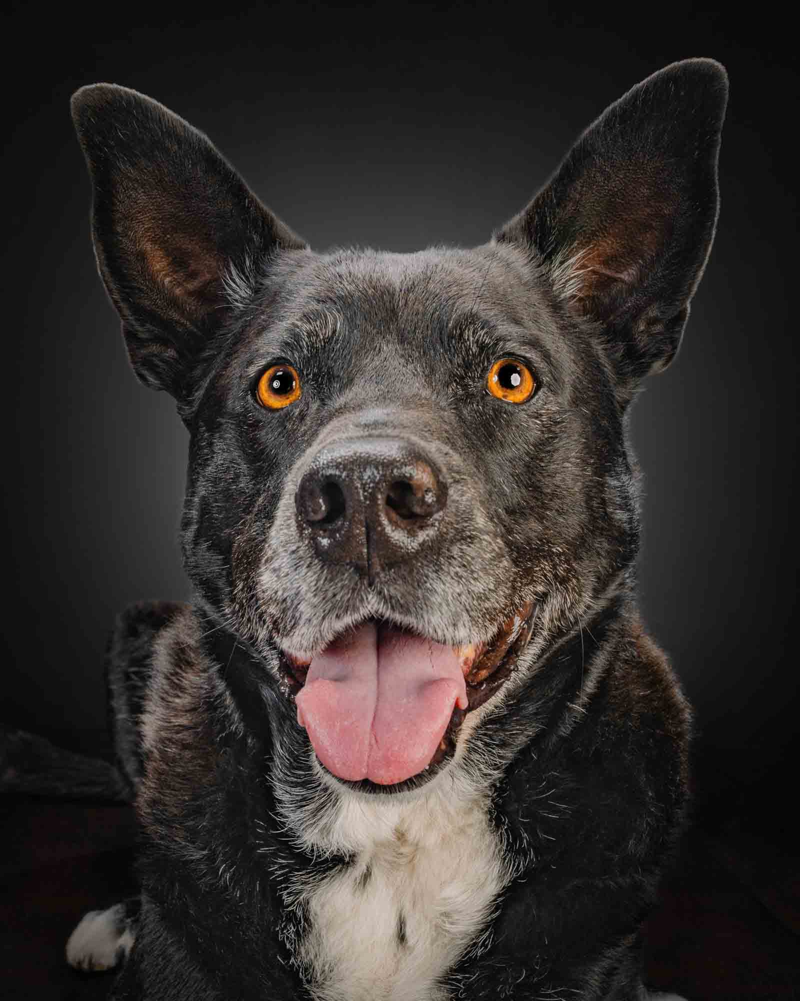 Monday Morning Radio Interview | Fetch Photo Truck - fetchphototruck.com