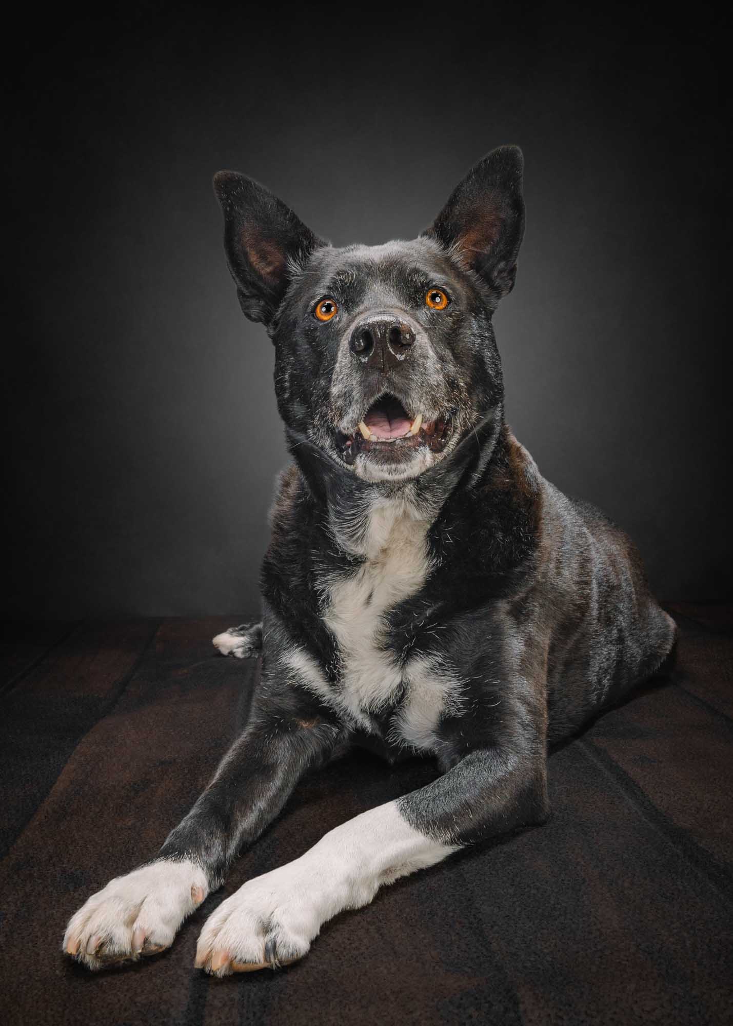 Monday Morning Radio Interview | Fetch Photo Truck - fetchphototruck.com