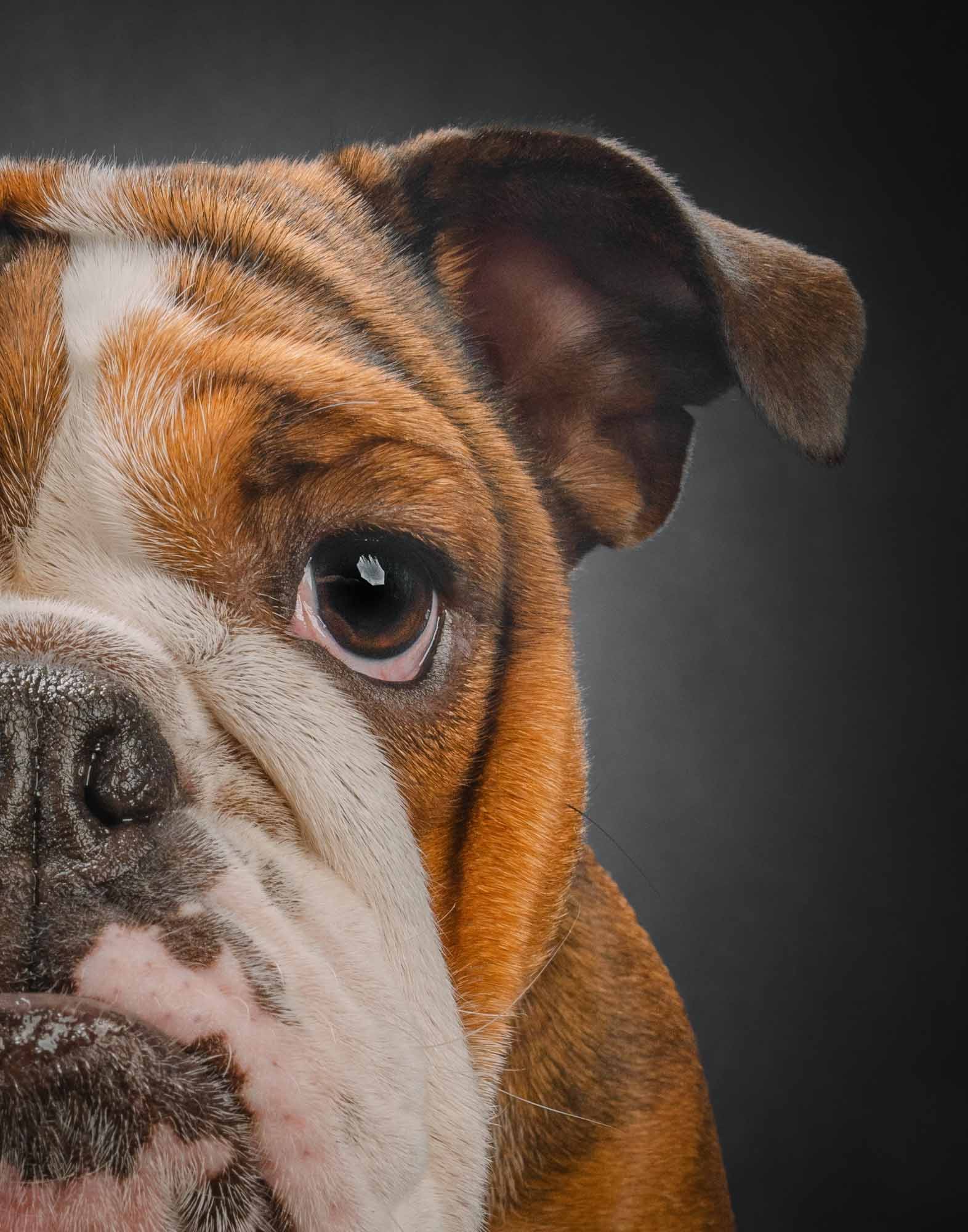 Fetch Photo Truck Interview on Freedom Focus Photography Podcast ...